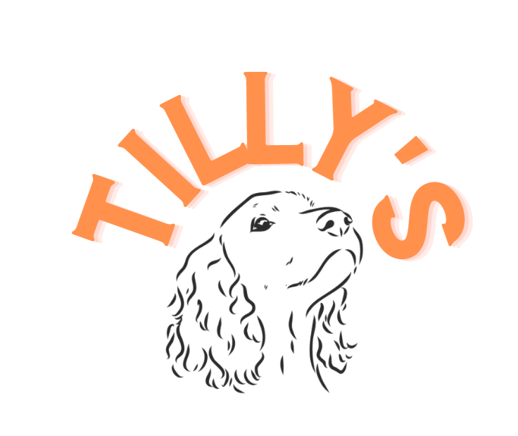 About Me - tillysdogfoodraw.co.uk Tilly’s Dog Food Raw – Founder Story ...